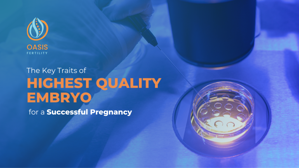 Highest Quality Embryo For A Successful Pregnancy